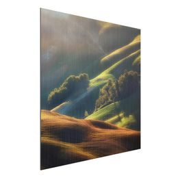 Bilderwelten Alu Dibond Outdoor Bild Wald gr&uuml;n Motiv wetterfest - Toskana am Morgen - B&auml;ume Wohnzimmer Schlafzimmer