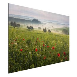 Bilderwelten Alu Dibond Outdoor Bild Blumen gr&uuml;n Motiv wetterfest - Toskana Fr&uuml;hling - Landschaft Wohnzimmer Schlafzimmer