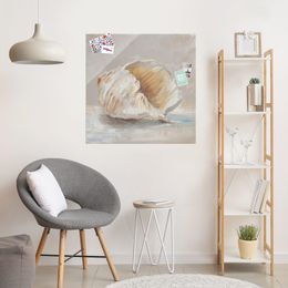 Bilderwelten Glasbild Tiere modern beige Glas Wandbild - Muschel-Studie IV - Deko Wohnzimmer Schlafzimmer