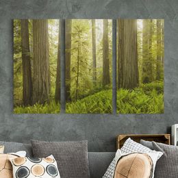 Bilderwelten 3-teiliges Leinwandbild - Querformat Redwood State Park Waldblick