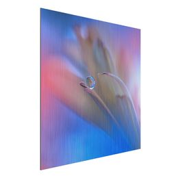Bilderwelten Alu-Dibond Outdoor Bild Touch Me Softly
