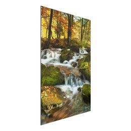 Bilderwelten Alu-Dibond Outdoor Bild Wasserfall herbstlicher Wald
