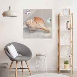Bilderwelten Glasbild Tiere modern beige Glas Wandbild - Muschel-Studie III - Deko Wohnzimmer Schlafzimmer