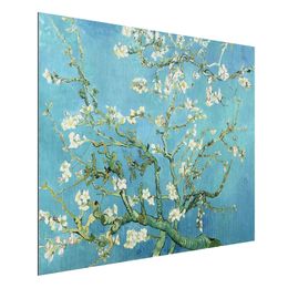 Bilderwelten Alu Dibond Outdoor Bild Blumen blau modern wetterfest - Vincent van Gogh - Mandelbl&uuml;te - B&auml;ume Wohnzimmer Schlafzimmer