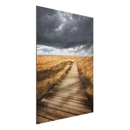 Bilderwelten Alu-Dibond Outdoor Bild Weg in den D&uuml;nen