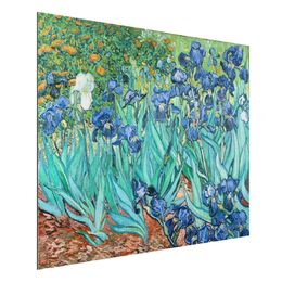 Bilderwelten Alu Dibond Outdoor Bild Blumen blau modern wetterfest - Vincent van Gogh - Iris - Deko Wohnzimmer Schlafzimmer