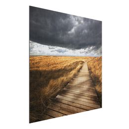 Bilderwelten Alu Dibond Outdoor Bild Strand gelb Motiv wetterfest - Weg in den D&uuml;nen - Himmel Wohnzimmer Schlafzimmer