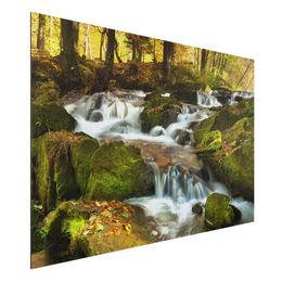 Bilderwelten Alu-Dibond Outdoor Bild Wasserfall herbstlicher Wald