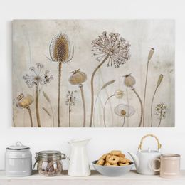 Bilderwelten Leinwandbild Growing Old - Wandbild bis XXL Print Botanik Tropical Illustration Kunstdruck Vintage Landhausstil Wohnzimmer Schlafzimmer Bad