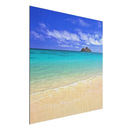 Bilderwelten Alu-Dibond Outdoor Bild Paradise Beach