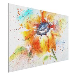 Bilderwelten Alu Dibond Outdoor Bild Blumen orange modern Aquarell - Painted Sunflower - Sonnenblumen Wohnzimmer Schlafzimmer