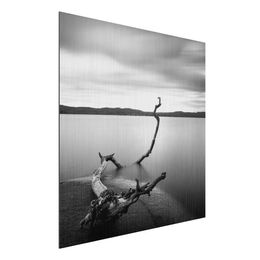 Bilderwelten Alu-Dibond Outdoor Bild Sonnenuntergang am See schwarz-wei&szlig;