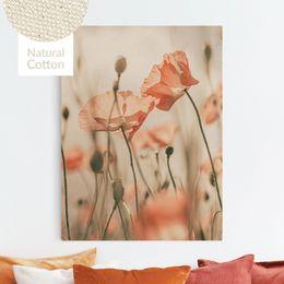 Bilderwelten Leinwandbild Mohnbl&uuml;ten im Sommerwind