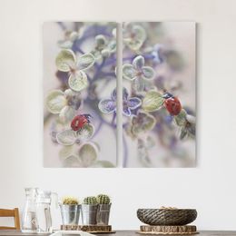 Bilderwelten 2-teiliges Leinwandbild - Hochformat Marienk&auml;fer im Garten