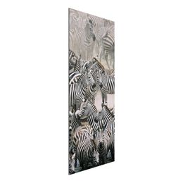 Bilderwelten Alu Dibond Outdoor Bild Tiere schwarz weiss Motiv wetterfest - Zebraherde - Zebra Wohnzimmer Schlafzimmer