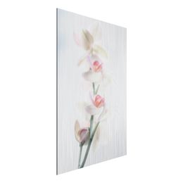 Bilderwelten Alu-Dibond Outdoor Bild Zerbrechliche Orchidee