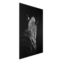 Bilderwelten Alu Dibond Outdoor Bild Tiere schwarz weiss Motiv wetterfest - Dunkle Zebra Silhouette - Zebra Wohnzimmer Schlafzimmer