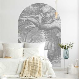 Bilderwelten Rundbogen Tapete Wald Kupferstich - Schlafzimmer Wohnzimmer - hinterm Bett - halbrund rund - selbstklebend Fototapete