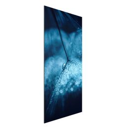Bilderwelten Alu-Dibond Outdoor Bild Blaue Pusteblume im Regen