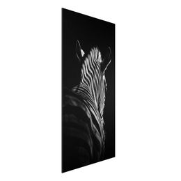 Bilderwelten Alu Dibond Outdoor Bild Tiere schwarz weiss Motiv wetterfest - Dunkle Zebra Silhouette - Zebra Wohnzimmer Schlafzimmer