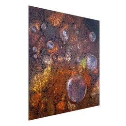 Bilderwelten Alu Dibond Outdoor Bild originell orange Abstrakt wetterfest - Winter im Herbst - Deko Wohnzimmer Schlafzimmer