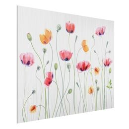 Bilderwelten Alu Dibond Outdoor Bild Blumen weiss Landhaus Aquarell - Klatschmohn Party - Mohn Wohnzimmer Schlafzimmer