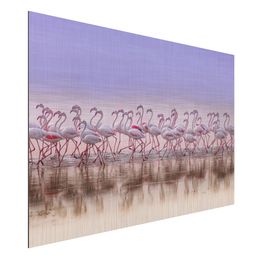 Bilderwelten Alu Dibond Outdoor Bild Tiere rosa Motiv wetterfest - Flamingo Party - V&ouml;gel Wohnzimmer Schlafzimmer