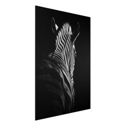 Bilderwelten Alu Dibond Outdoor Bild Tiere schwarz weiss Motiv wetterfest - Dunkle Zebra Silhouette - Zebra Wohnzimmer Schlafzimmer