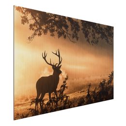 Bilderwelten Alu-Dibond Outdoor Bild Hirsch im Winterwald