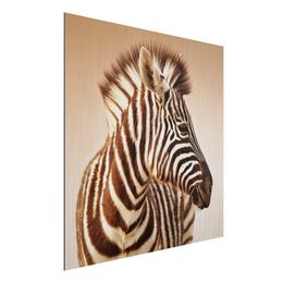Bilderwelten Alu Dibond Outdoor Bild Tiere beige Motiv wetterfest - Zebra Baby Portrait - Zebra Wohnzimmer Schlafzimmer