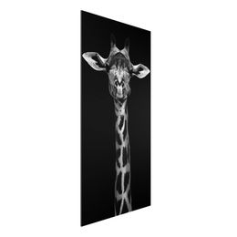 Bilderwelten Alu Dibond Outdoor Bild Tiere schwarz weiss Motiv wetterfest - Dunkles Giraffen Portrait - Giraffen Wohnzimmer Schlafzimmer