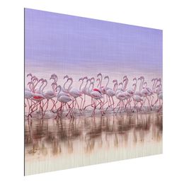 Bilderwelten Alu Dibond Outdoor Bild Tiere rosa Motiv wetterfest - Flamingo Party - V&ouml;gel Wohnzimmer Schlafzimmer
