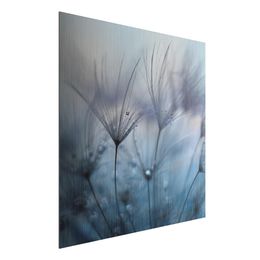 Bilderwelten Alu Dibond Outdoor Bild Blumen blau Motiv wetterfest - Blaue Federn im Regen - Deko Wohnzimmer Schlafzimmer