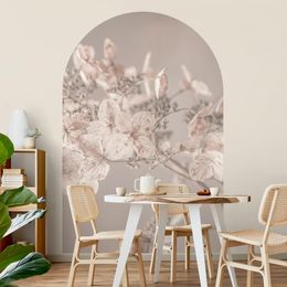 Bilderwelten Rundbogen Tapete Zarte wei&szlig;e Hortensie - Schlafzimmer Wohnzimmer - hinterm Bett - halbrund rund - selbstklebend Fototapete