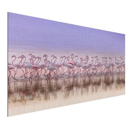 Bilderwelten Alu Dibond Outdoor Bild Tiere rosa Motiv wetterfest - Flamingo Party - V&ouml;gel Wohnzimmer Schlafzimmer