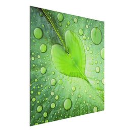 Bilderwelten Alu-Dibond Outdoor Bild Herz aus Morgentau