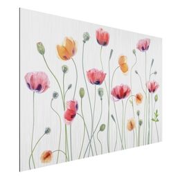 Bilderwelten Alu Dibond Outdoor Bild Blumen weiss Landhaus Aquarell - Klatschmohn Party - Mohn Wohnzimmer Schlafzimmer