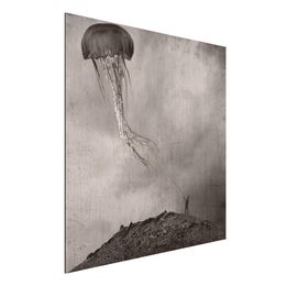 Bilderwelten Alu Dibond Outdoor Bild Tiere einzigartig Motiv wetterfest - Fliegende Medusa - Deko Wohnzimmer Schlafzimmer