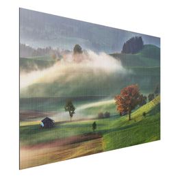 Bilderwelten Alu Dibond Outdoor Bild Wald gr&uuml;n Motiv wetterfest - Nebliger Herbsttag Schweiz - B&auml;ume Wohnzimmer Schlafzimmer