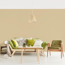 Bilderwelten Unitapete Colour Light Brown