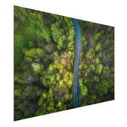 Bilderwelten Alu-Dibond Outdoor Bild Luftbild - Asphaltstra&szlig;e im Wald