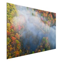 Bilderwelten Alu-Dibond Outdoor Bild Luftbild - Herbst Symphonie