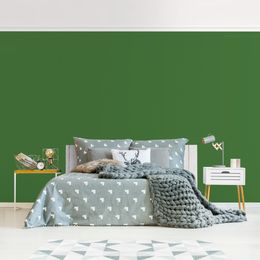 Bilderwelten Unitapete Colour Dark Green