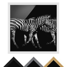 Bilderwelten Bild mit Rahmen Tiere schwarz weiss Motiv inkl. Rahmung - Zebra vor Schwarz - Zebra Wohnzimmer Schlafzimmer