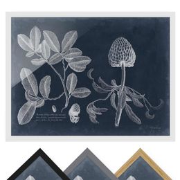 Bilderwelten Bild mit Rahmen Blumen blau Vintage inkl. Rahmung - Blattwerk Dunkelblau - Zimtapfel - Pflanzen Wohnzimmer Schlafzimmer