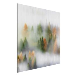 Bilderwelten Alu-Dibond Outdoor Bild Nebelwald im Herbst
