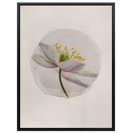 Bilderwelten Leinwandbild - Hochformat Wasserfarben - Nemorosa