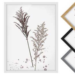 Bilderwelten Bild mit Rahmen Blumen weiss Landhaus Aquarell - Botanisches Aquarell - Schwingelschilf - Deko Wohnzimmer Schlafzimmer