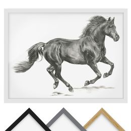 Bilderwelten Bild mit Rahmen Tiere weiss Illustration inkl. Rahmung - Wildpferd-Studie - Hengst - Pferde Wohnzimmer Schlafzimmer