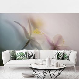 Bilderwelten Fototapete Blumen Landhaus Wandtapete violett - Buschwindr&ouml;schen - Deko Wohnzimmer Schlafzimmer